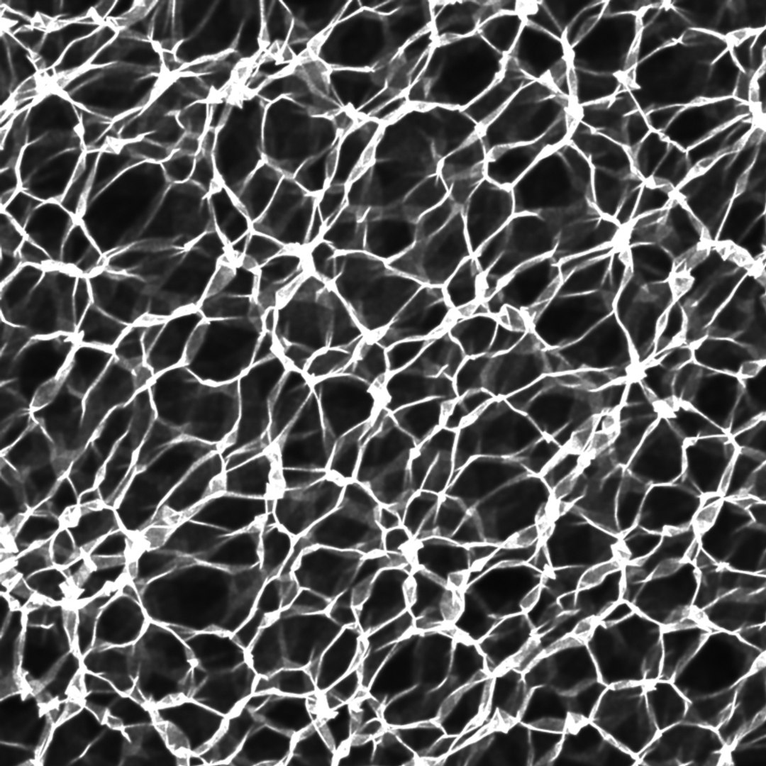 Water Caustic Texture - TurboSquid 330424